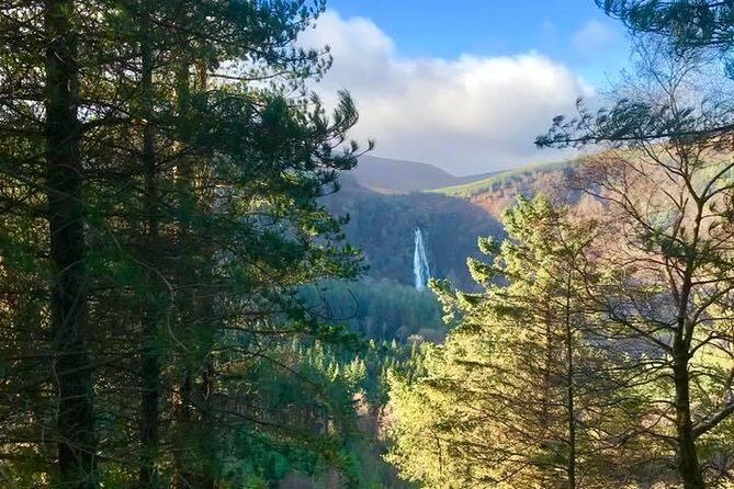 Tour Wicklow Mountains National Park in a limo with private guide - Final Thoughts: Is It Worth It?