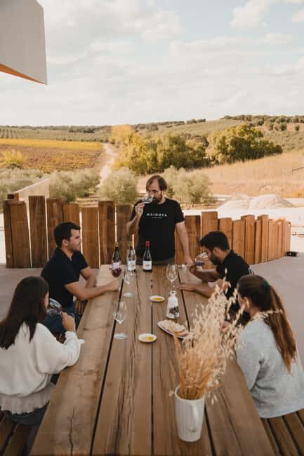 Tour with Wine and Olive Oil Tasting - What You Can Expect During the Tour