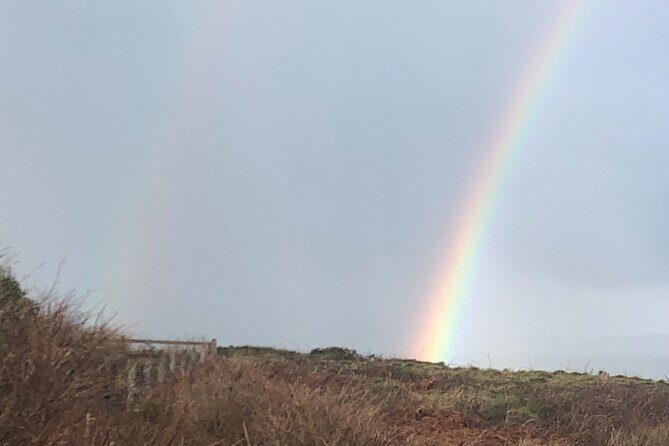 Tours in Ireland at Your Own Pace - Transportation and Guide Experience