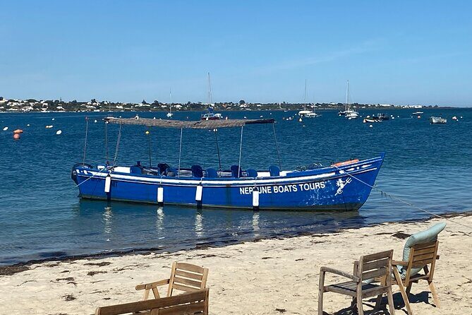 Tours in Traditional Boats - Olhão - Evaluating the Cost and Overall Value