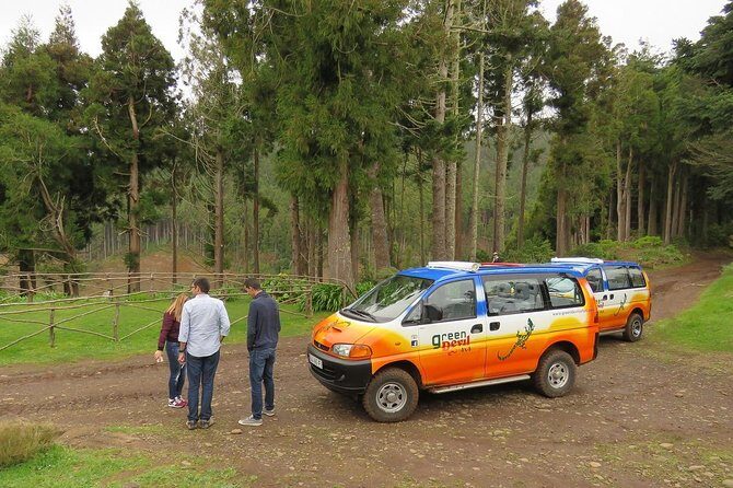 traditional Farmers Market Open 4X4 Half Day Tour - Practical Details: What You Need to Know