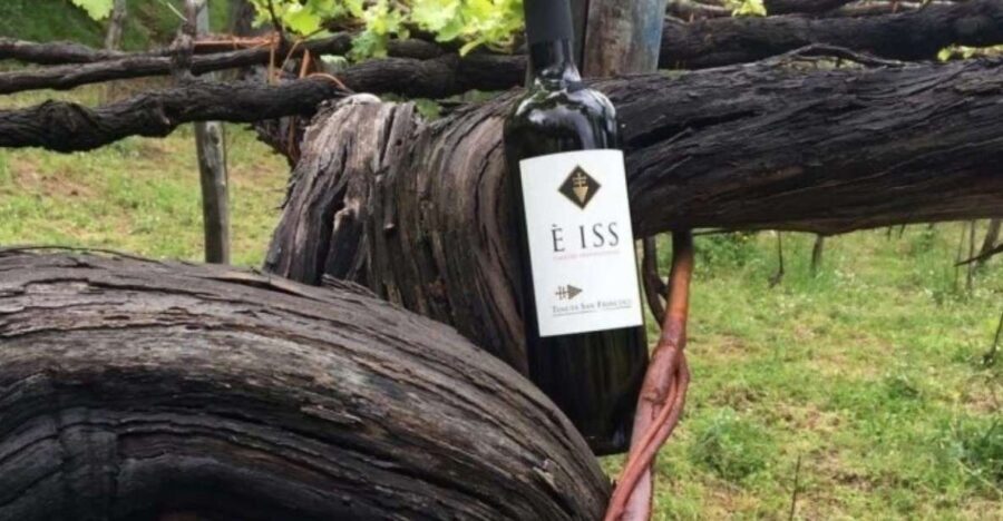Tramonti: Tenuta San Francesco Wine Tasting - The Itinerary: What to Expect from Start to Finish