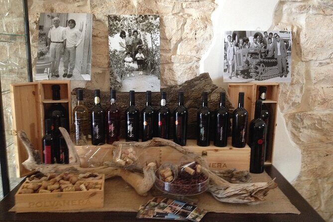 Trani: Wine tasting & Light Lunch in a Vineyard - What Guests Are Saying