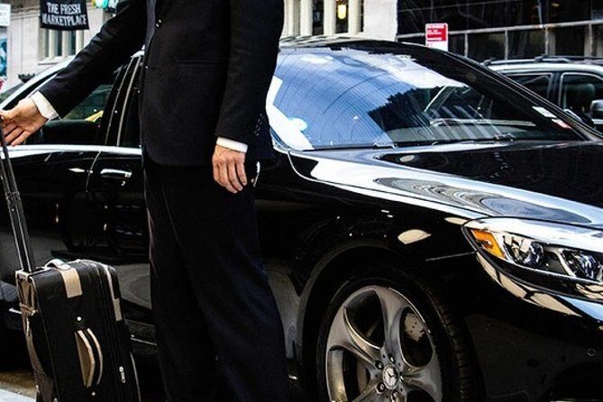 Transfer Civitavecchia Port to airport area - The Booking Experience and Pricing