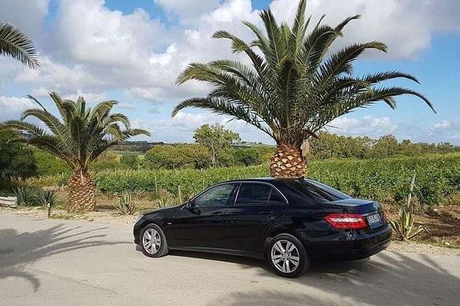 Transfer da aeroporto Palermo a Trapani porto - The Vehicles and Amenities