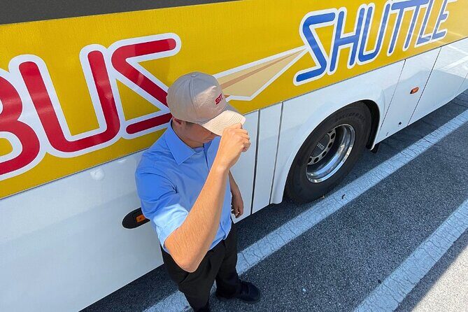 Transfer Fiumicino Airport from/to Vaticano shuttle bus - Who Is This Shuttle Best For?