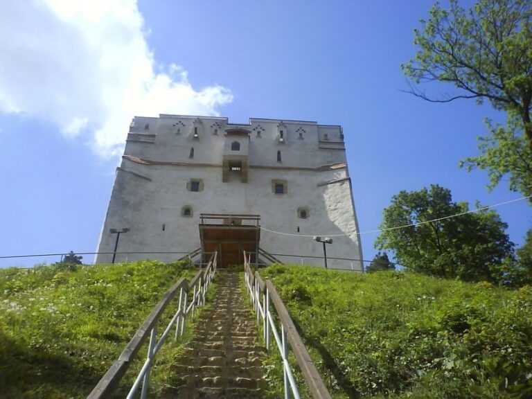 Transylvania: Cultural Full-Day Trip by Minivan - A Closer Look at the Itinerary