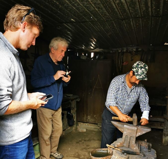 Transylvania Gems: Sighisoara, Medias, Biertan & Gypsy life - Transportation, Guides, and Overall Value