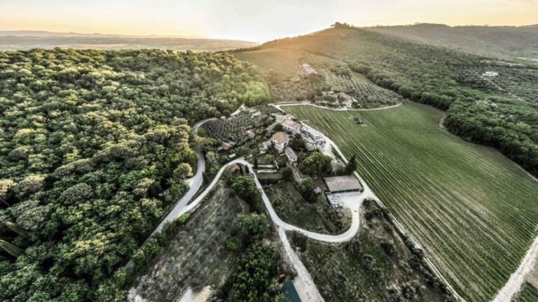 Trasimeno: Discovering Montemelino Wine Experience - The Review of Guest Experiences