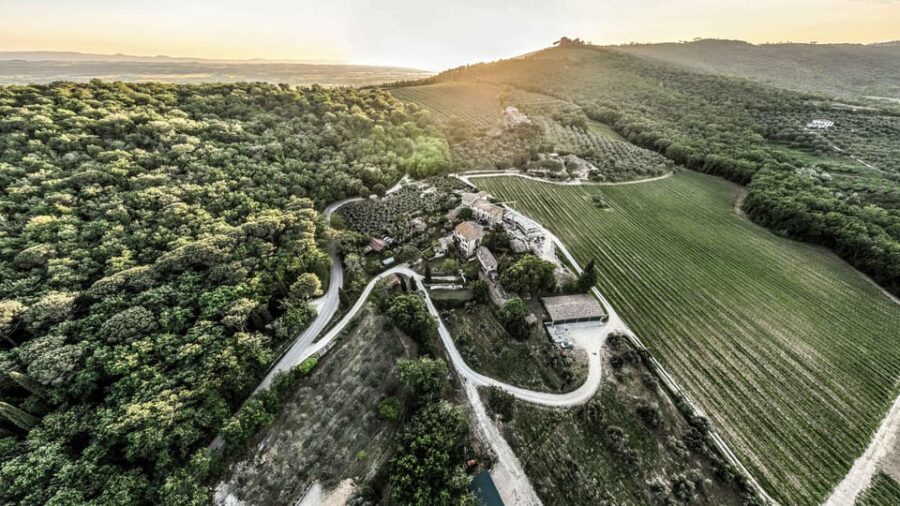 Trasimeno: Discovering Montemelino Wine Experience - The Review of Guest Experiences