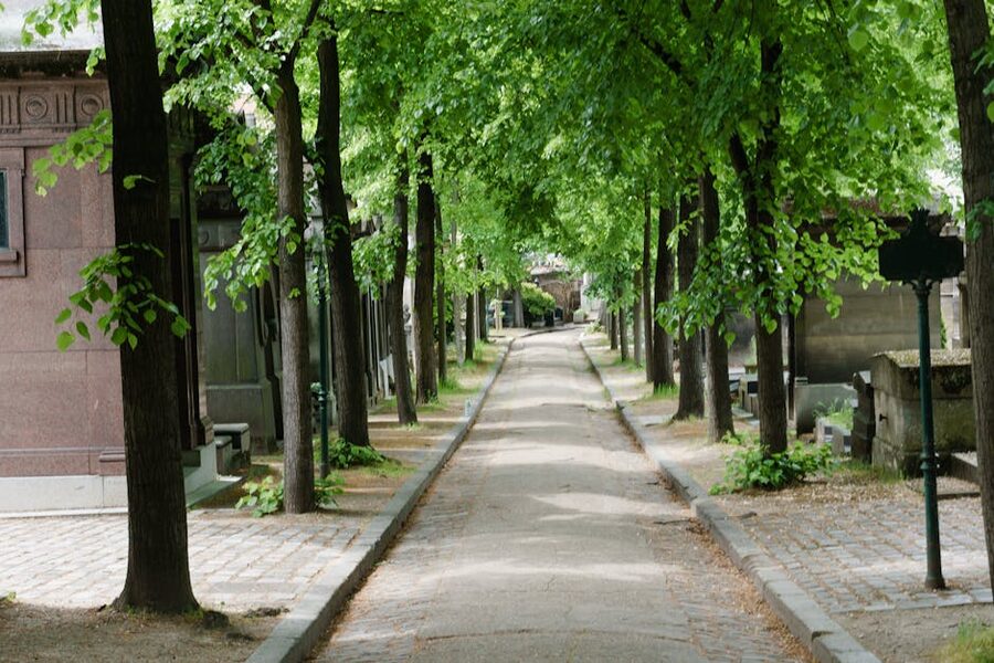 Tree-lined path at Père Lachaise