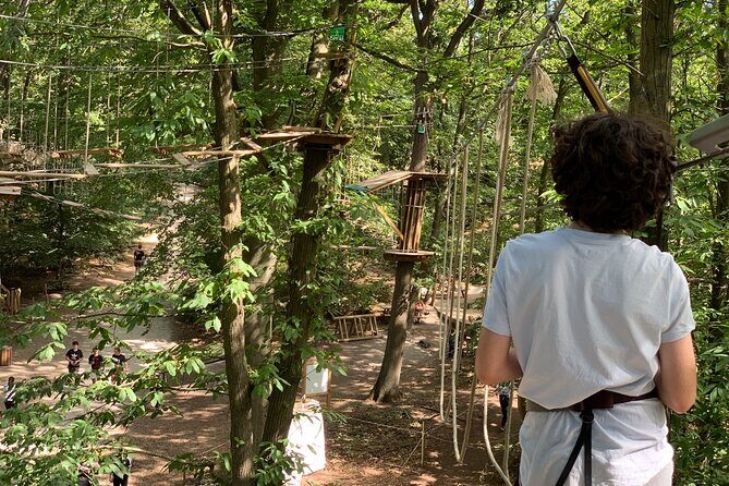 Tree Top Adventure in Forest of Meudon - The Sum Up