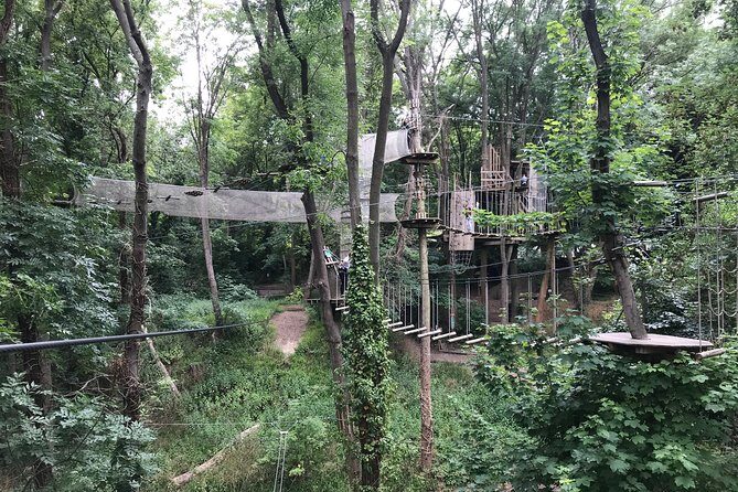 Tree Top Adventure in Rueil-Malmaison - What to Expect During the Experience