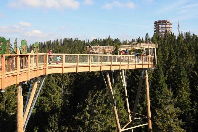 Treetop Walk in Slovakia and Thermal Baths from Krakow - Authentic Reviews and Real Experiences