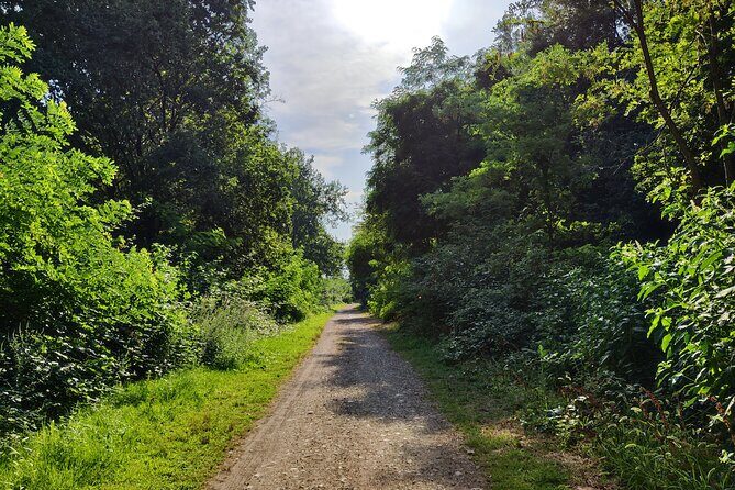 Trekking in the Wood with picnic on the turtles lake - A Closer Look at the Trekking Experience