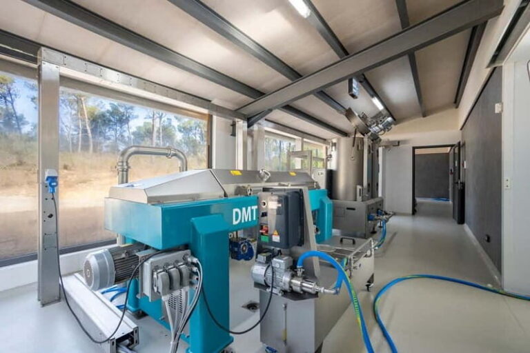 Treurer: Olive Oil Night. Gastronomic experience - Final Thoughts: Who Will Love This Experience?