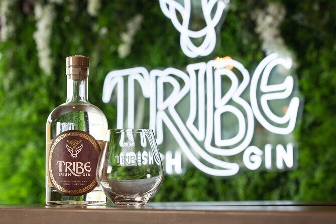 Tribe Gin School Experience in Galway - The Itinerary