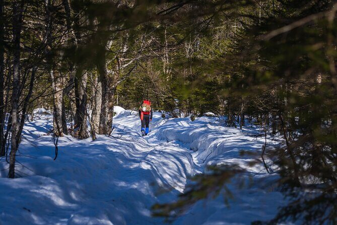 Triglav winter edition - What’s Included and What’s Not