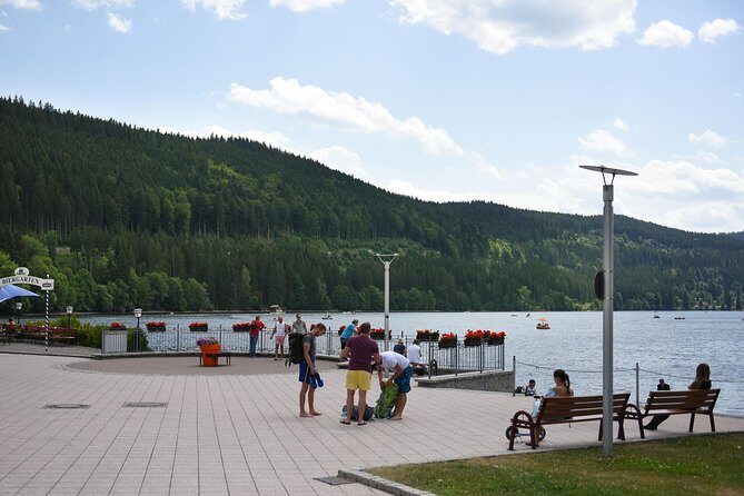 Trip from Zurich to Germany's Black Forest & Swiss Rhine Falls - The Value Proposition