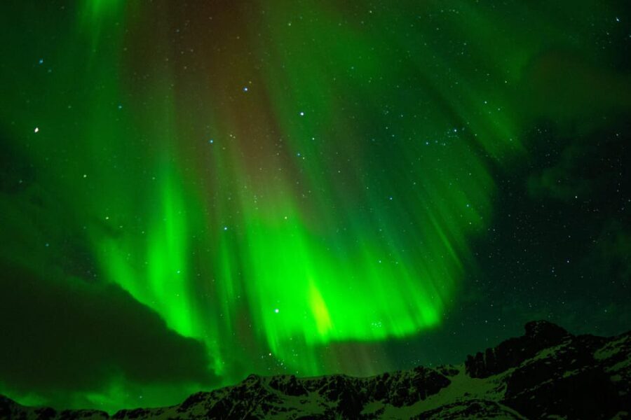 Tromsø Adventurous Northern Lights Small-Group - Insights from Reviews and Practical Tips