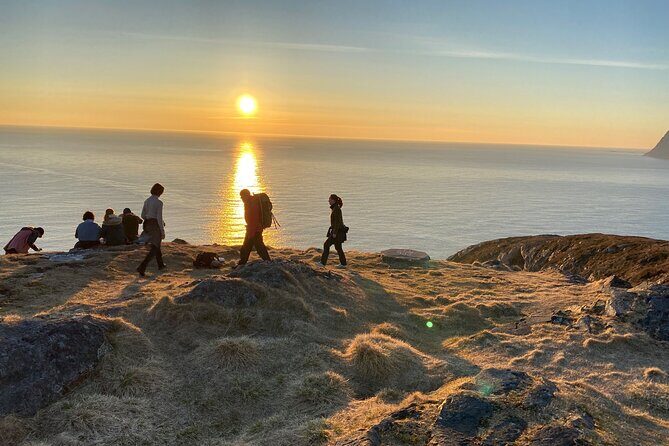 Tromsø Arctic Fjords Adventure Tour with Local Lunch - The Food: Authentic Norwegian Cuisine