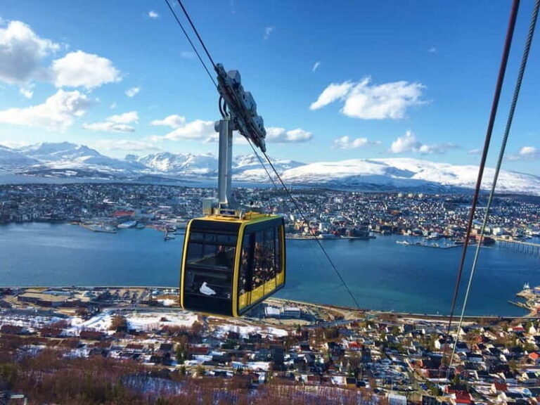 Tromso: Arctic Panorama Cable Car Excursion - The Practical Details: Transportation, Price, and Accessibility