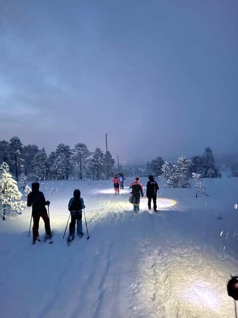 Tromsø: Artic Terrain Snowshoe Expedition with Local Guides - Tromsø: Arctic Terrain Snowshoe Expedition with Local Guides — A Detailed Review