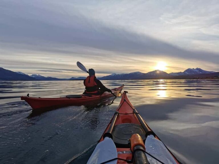 Tromsø: Easy-going Guided Winter Sea Kayaking Tour - Analyzing the Value: Is It Worth It?