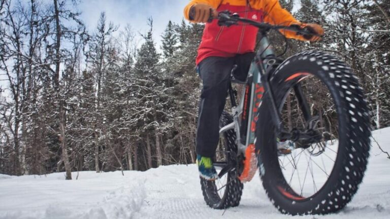 Tromsø: Electric fatbike trip on winter paths - Exploring Tromsø: What to Expect from the Tour