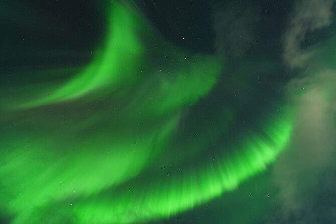 Tromsø: English/Spanish Aurora Pathfinder Tour with Photos - The Real Deal: What You Need to Know