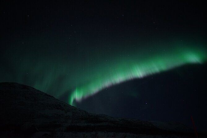 Tromsø: Evening Cruise with Northern Lights Opportunity - FAQs