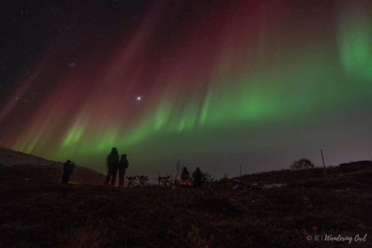 Tromsø: Express Aurora Hunt - What’s Included & What’s Not