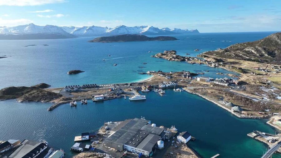 Tromsø Fjord Cruise - With a stop at Sommarøy Island - An In-Depth Look at the Tromsø Fjord Cruise