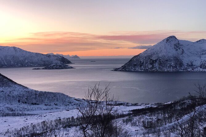 Tromsø: Fjords & Beaches Tour with campfire and Arctic food - Small Group Dynamics