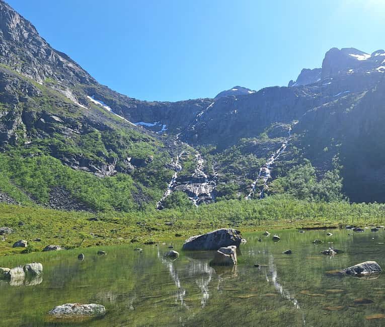 Tromsø: Guided Arctic Nature & Fjord Small Group Tour - Why This Tour Offers Excellent Value