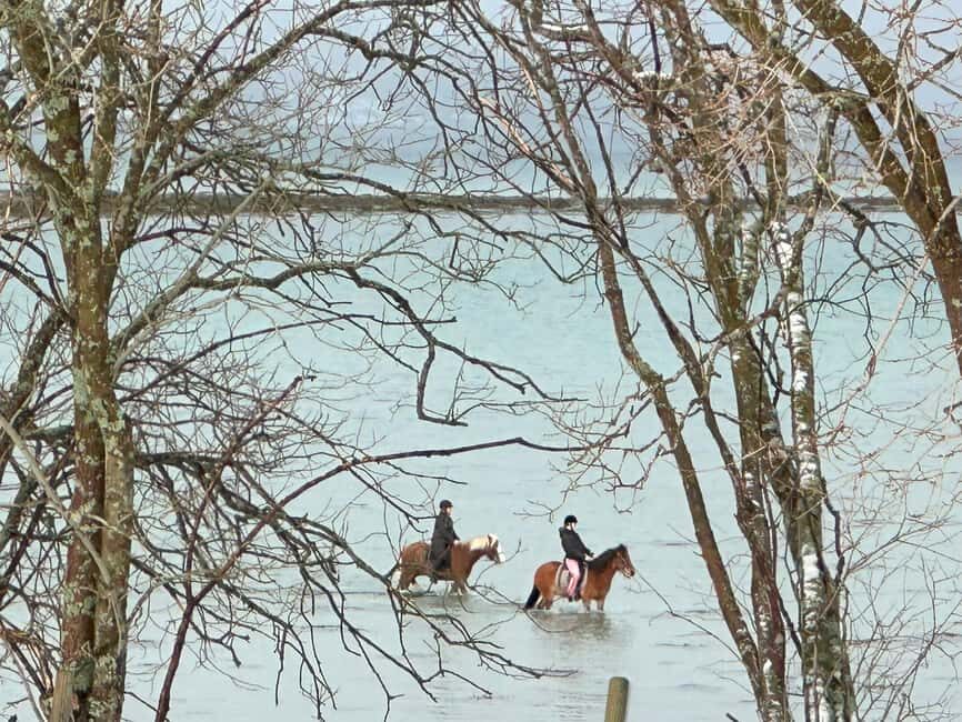 Tromsø: Horseback Riding Tour - Is This Tour Worth the Price?