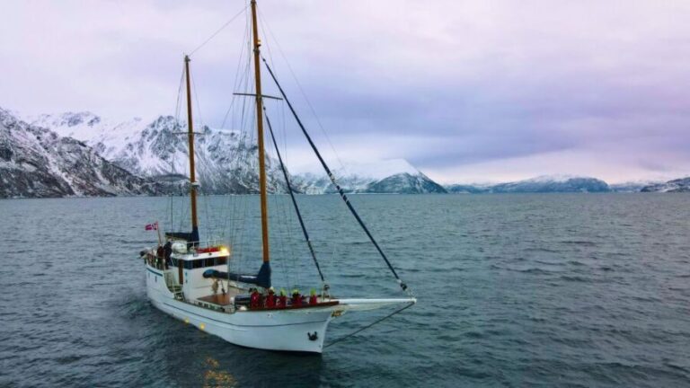 Tromsø: Luxury Polar Fjord Cruise w/ Hot Tub & Polar Plunge - The Vessel and Comforts
