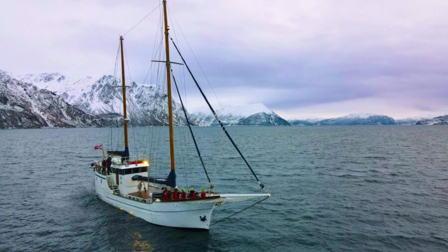 Tromsø: Luxury Polar Fjord Cruise w/ Hot Tub & Polar Plunge - The Vessel and Comforts
