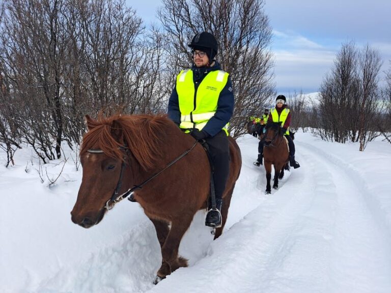 Tromsø: Lyngen Horse Winter Riding Experience - The Overall Experience