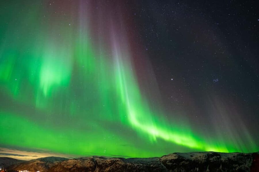 Tromsø: Nocturnal cod fishing with meal. - Analyzing the Experience: Is It Worth It?