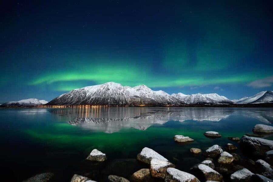 Tromsø: Northern Lights Bus Tour  Chase the Aurora Borealis - Authentic Insights from Reviewers