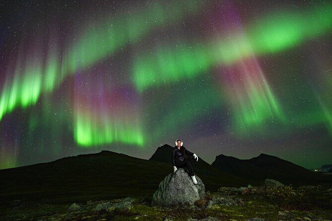 Tromsø: Northern Lights Minibus Tour with Expert Guides - An In-Depth Look at the Tour Experience
