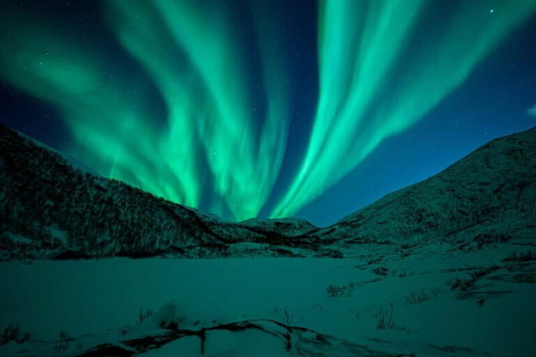 Tromsø: Northern Lights Tour with Hot Drinks and Snacks - The Value of This Tour