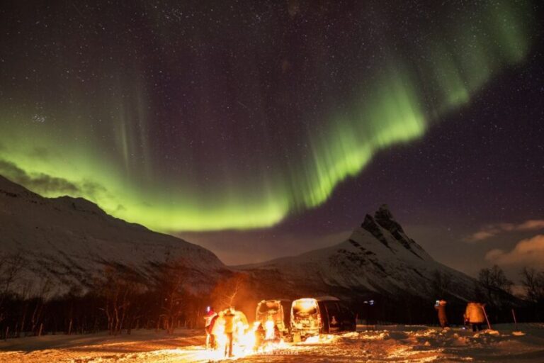 Tromso: Northern Lights Tour with Photographer - What to Expect During the Tour