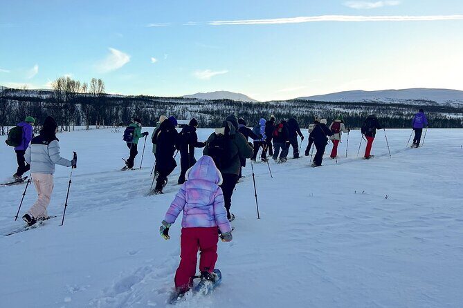 Tromso: Reindeer Feeding and Snowshoeing Tour with Lunch - Who Should Book This Tour?