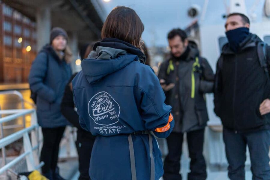 Tromsø: Responsible Whale Watching Cruise Aboard MS Alba - An In-Depth Look at the Experience