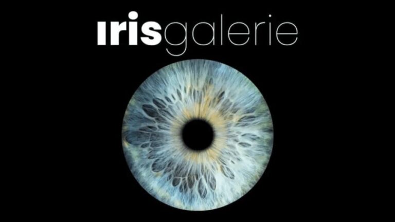 Tromsø: Reveal Your Eye Experience at the Iris Galerie - Key Points