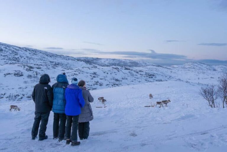 Tromsø: Senja Fjord Tour in Chinese/English Small-Group - Discovering the Arctic Wilderness of Senja and Kvaløya