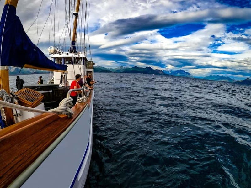 Tromsø: Small Group Sea-to-Table Fishing Experience - Practical Details and Value