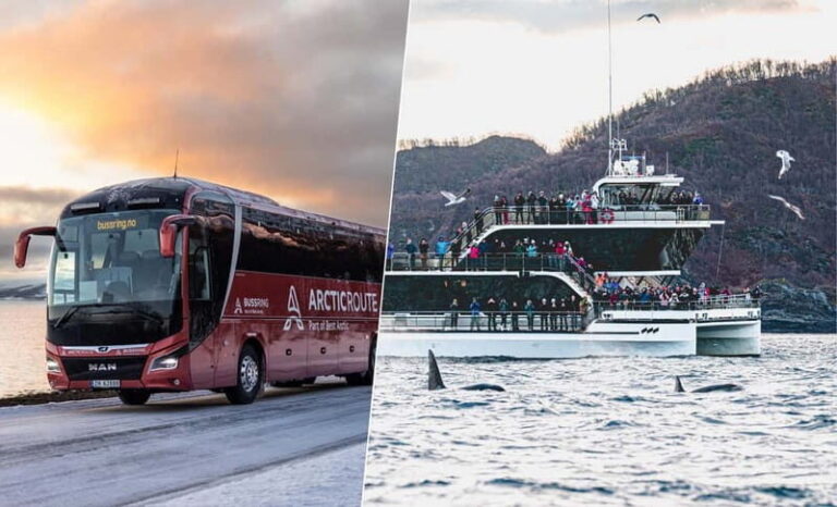 Tromsø: Whale Watching on hybrid boat with scenic bustrip - The Itinerary Breakdown: What to Expect